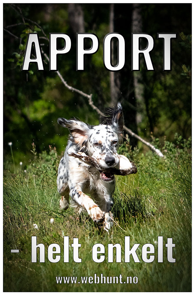 Apport - helt enkelt – webHunt